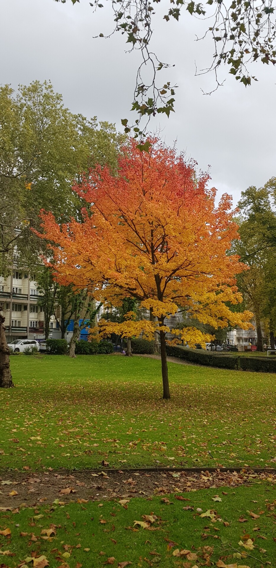 Flat vs. Sphere — Derick Rethans