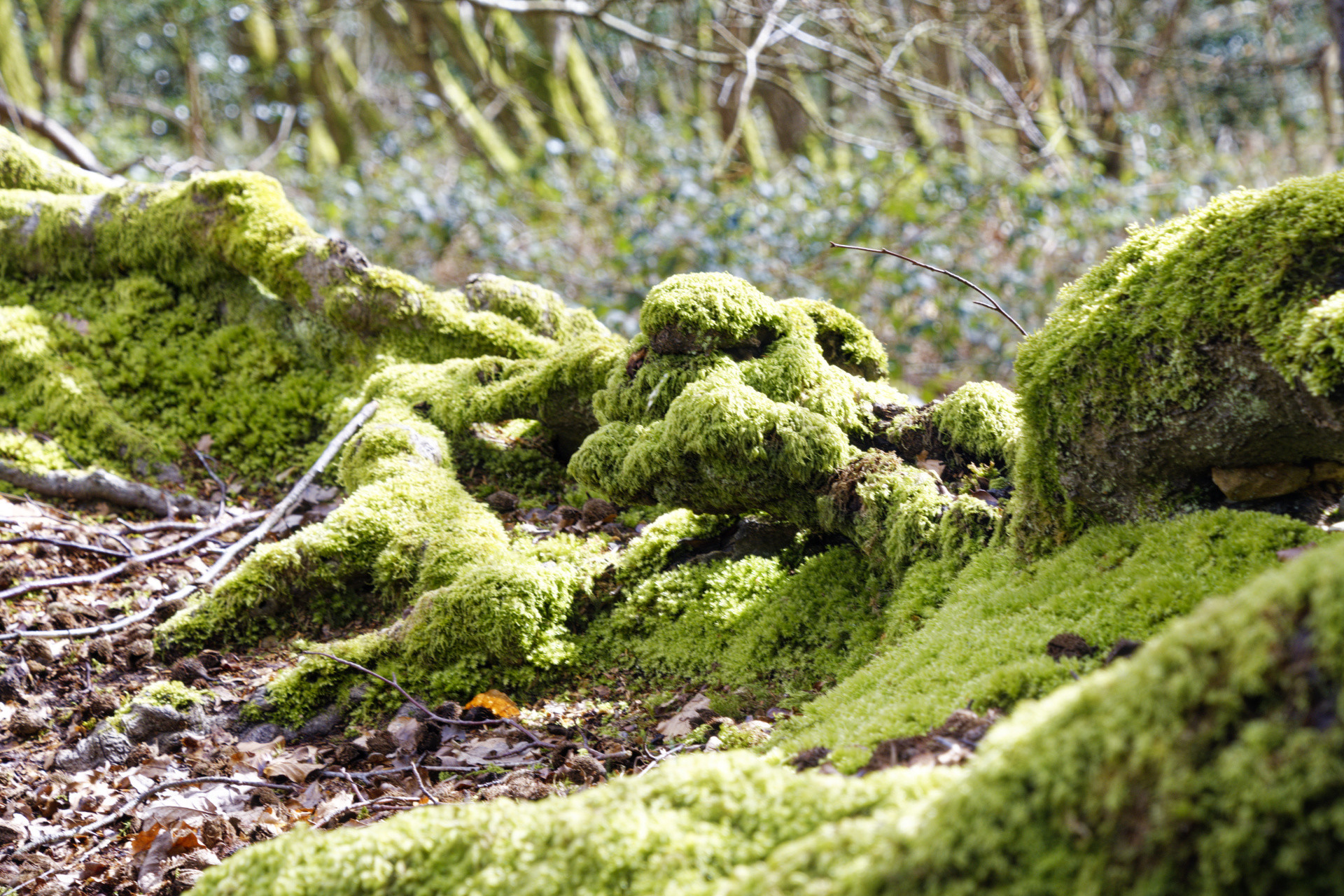 Home — Derick Rethans