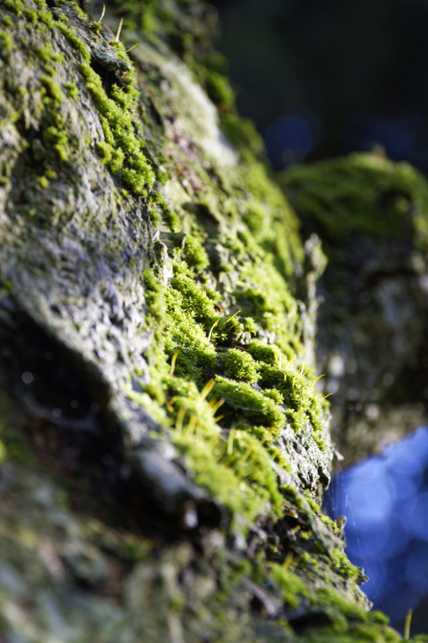 PHP and Ordnance Survey Mapping — Derick Rethans